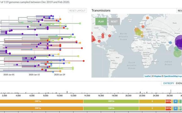 Chart: Evolution and Genomic Epidemiology of Novel Coronavirus with ...